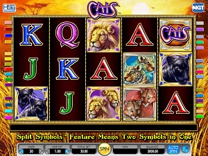 Slotmachines Guide: Cats™ (IGT) - BankrollMob